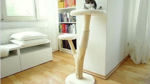 How to clean a cat tree? – Meowden®