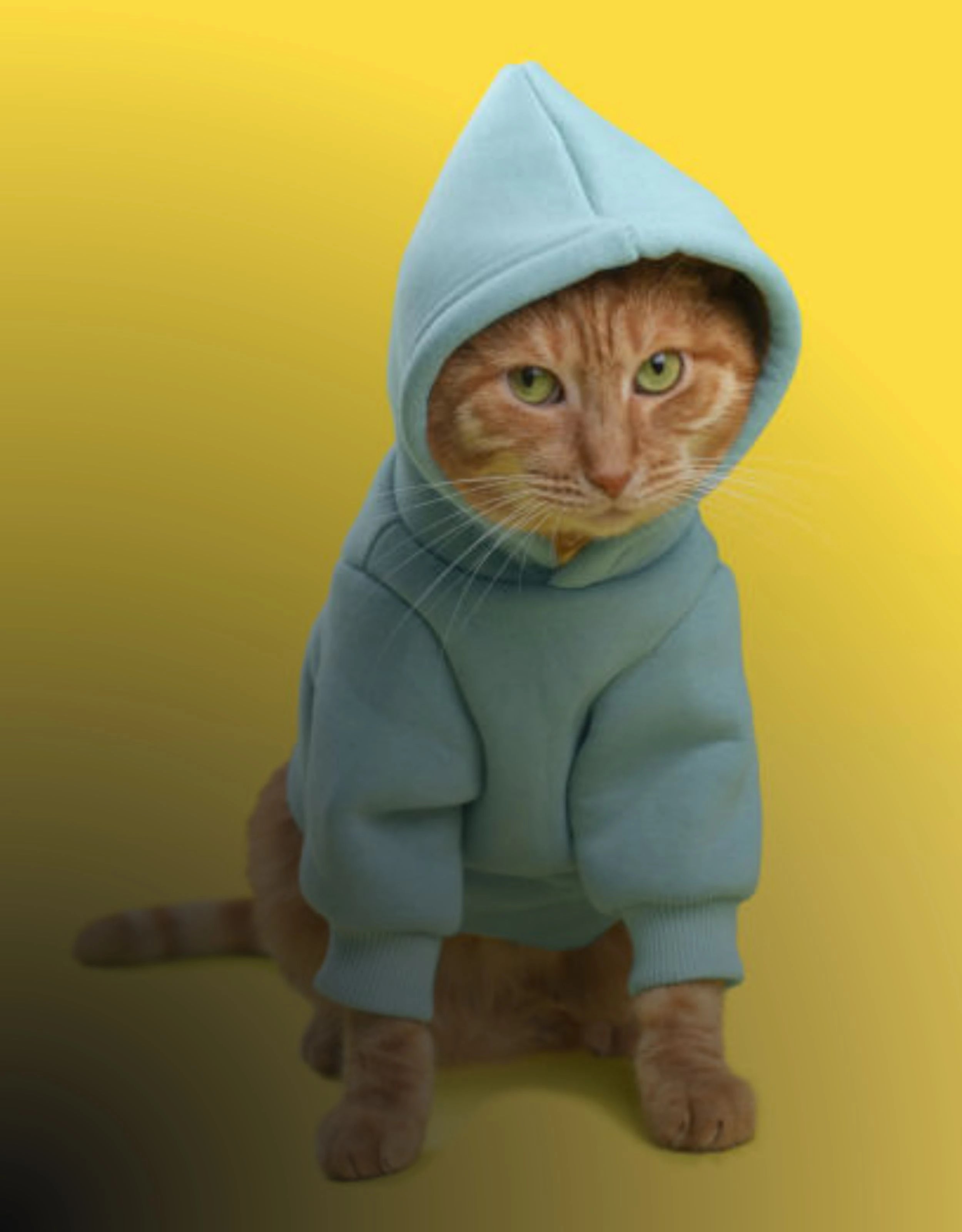 Shirts for Cats – Meowden®