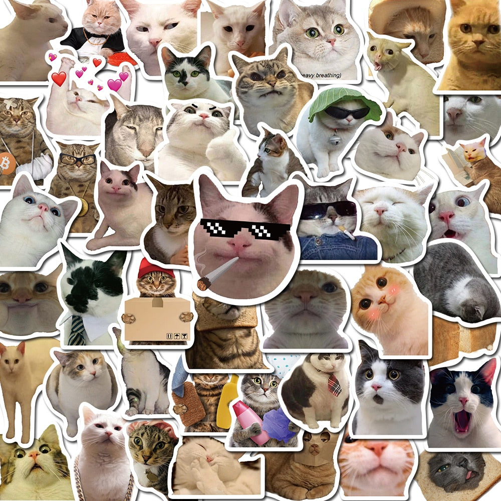 Cat Meme Stickers