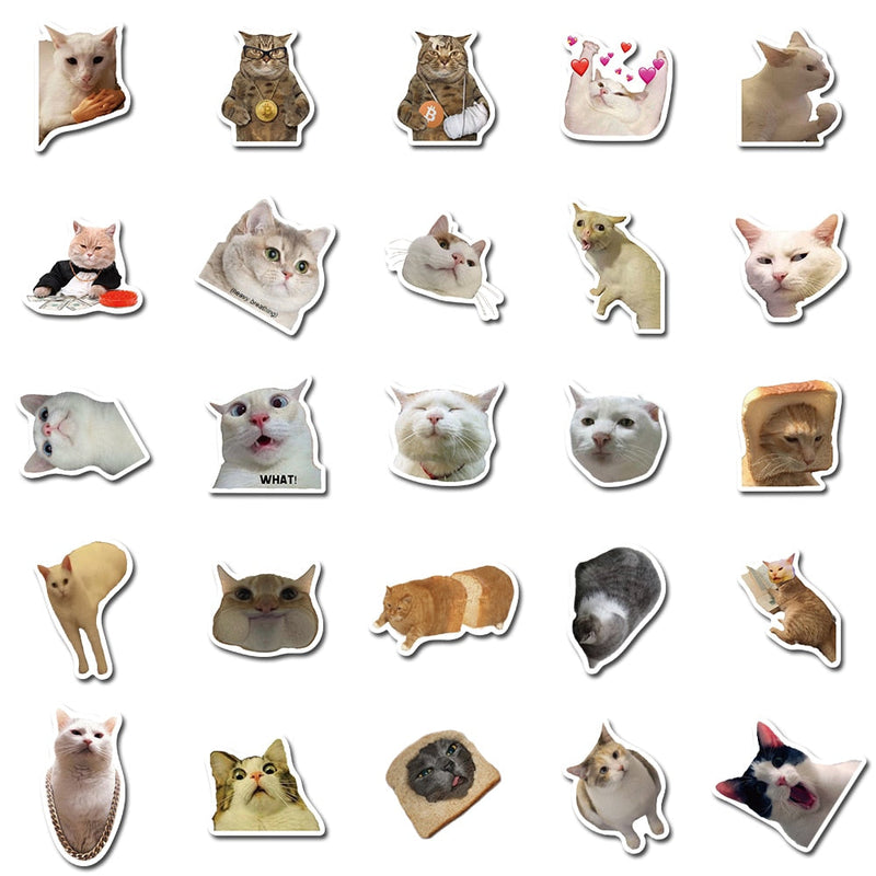Cat Meme Stickers